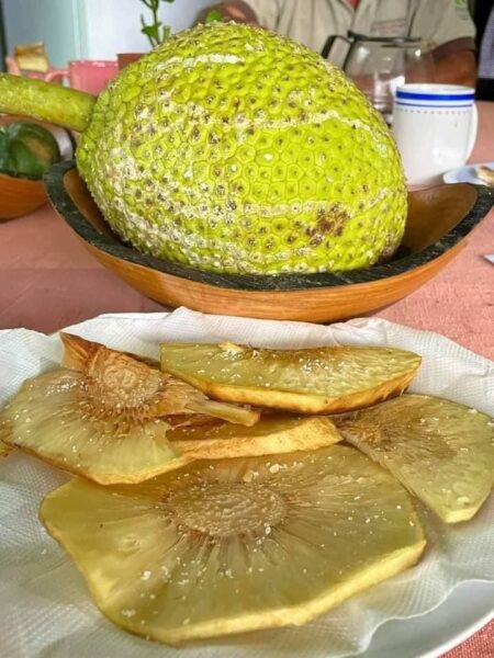 Fruta de pan: un tesoro culinario de nuestros caribeños - Radio La ...