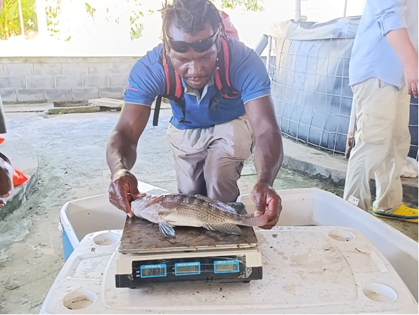 Exponen avances de acuicultura en el Caribe Sur - Radio La Primerisima